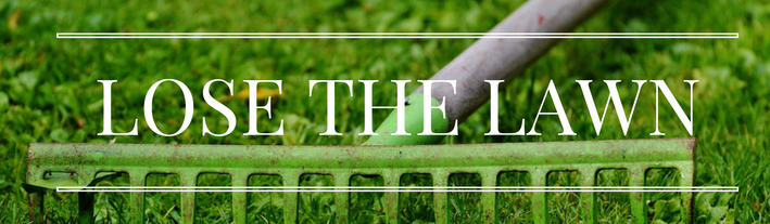 How to Create a Low Maintenance Garden